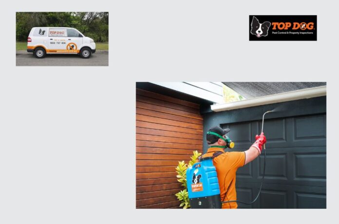Expert Pest Management for Homes and Businesses in South Florida - Food ...